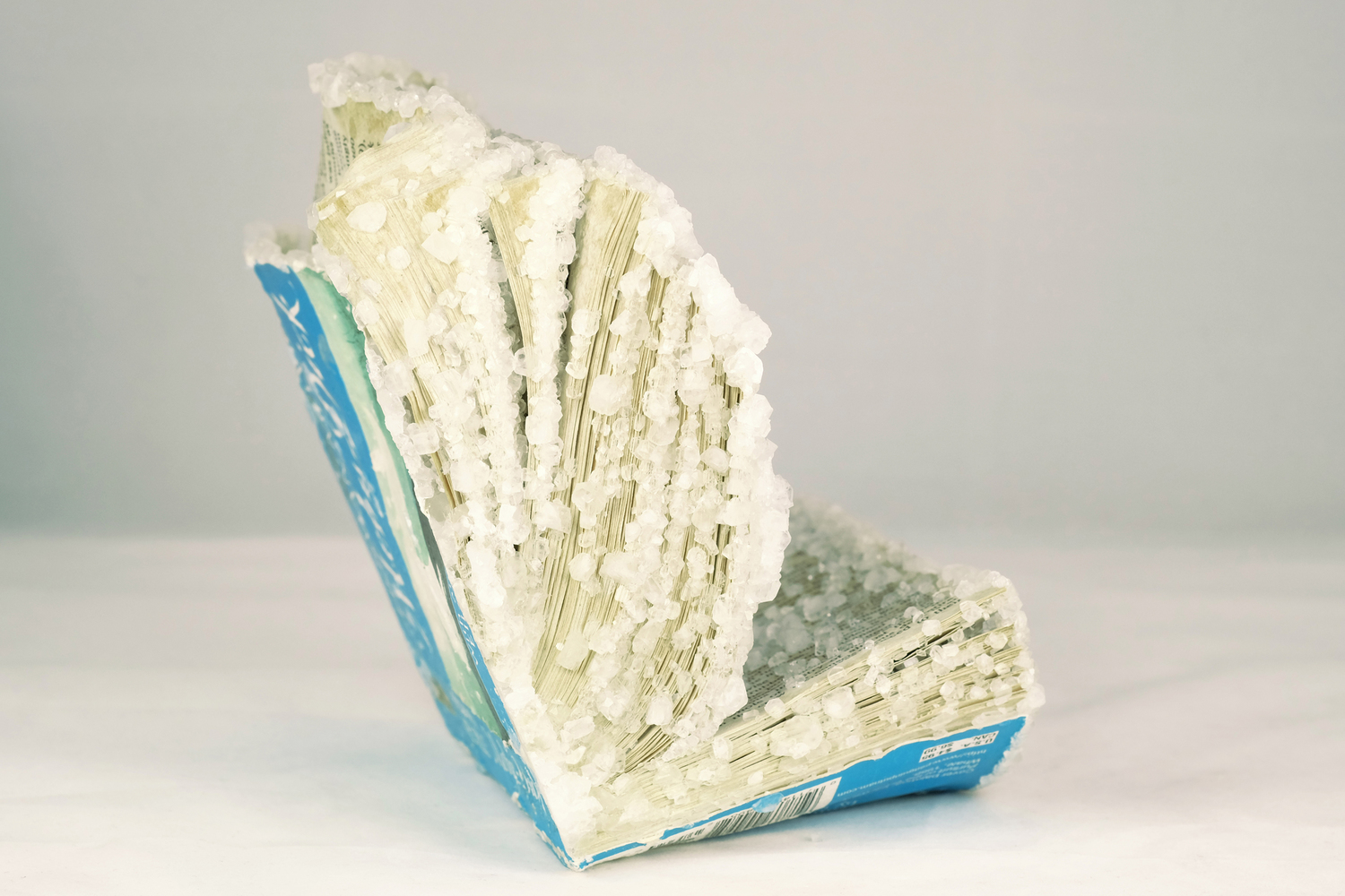 Old books turned into crystallized sculptures