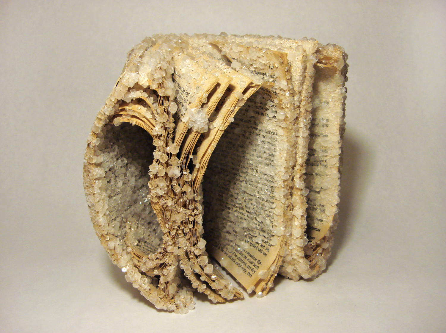 Old books turned into crystallized sculptures
