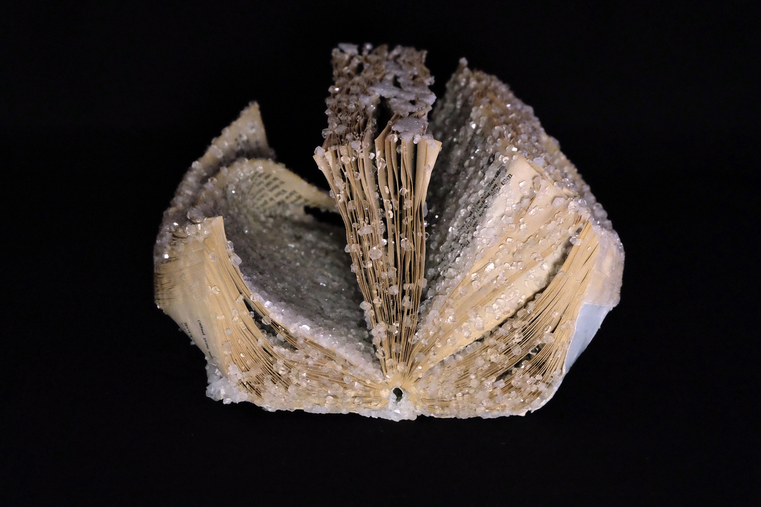 Old books turned into crystallized sculptures