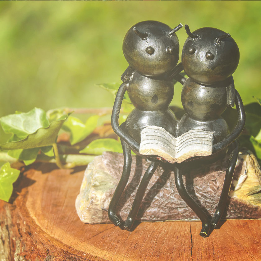 ants reading a book – Ebook Friendly