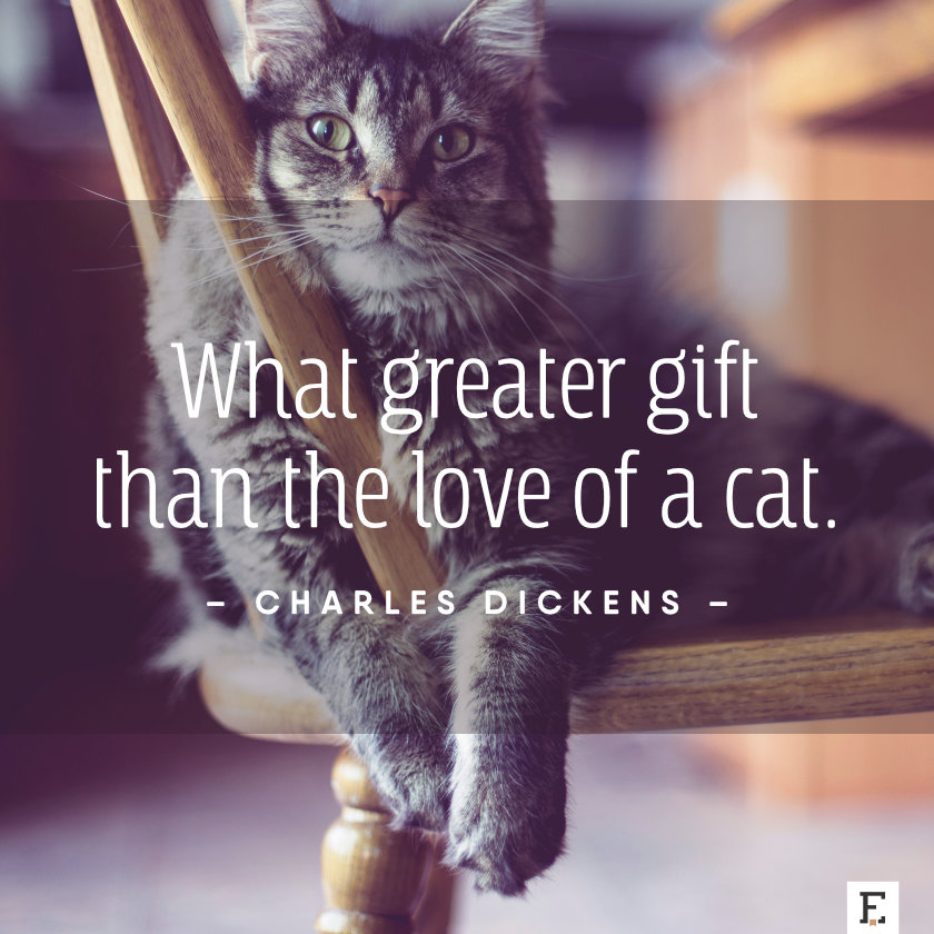 Ongoing – Charles Dickens quote – Ebook Friendly