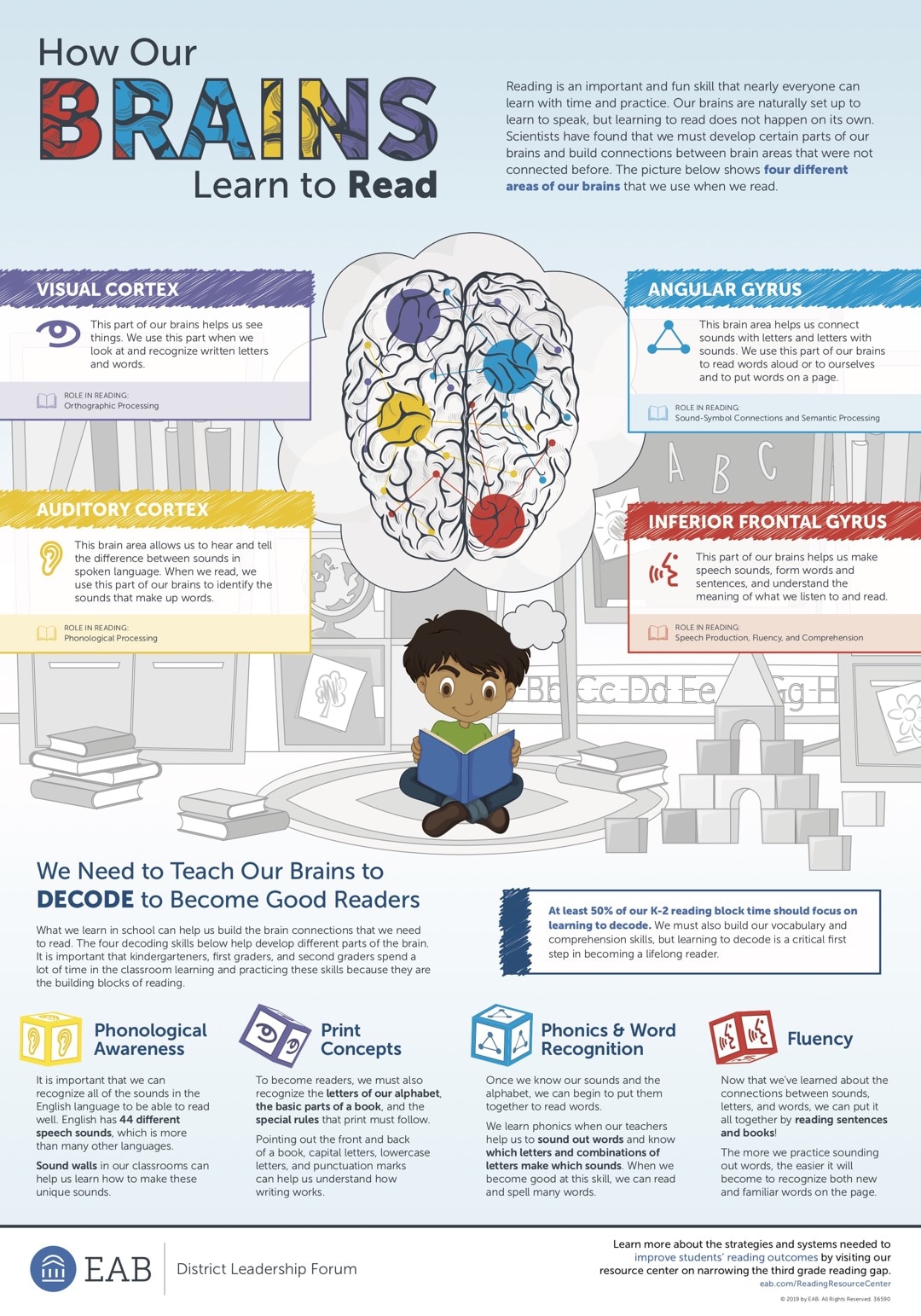 How our brains learn to read – full infographic – Ebook Friendly