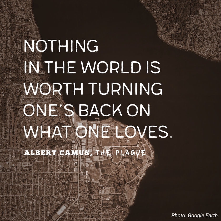 Timeless quotes from “The Plague” by Albert Camus